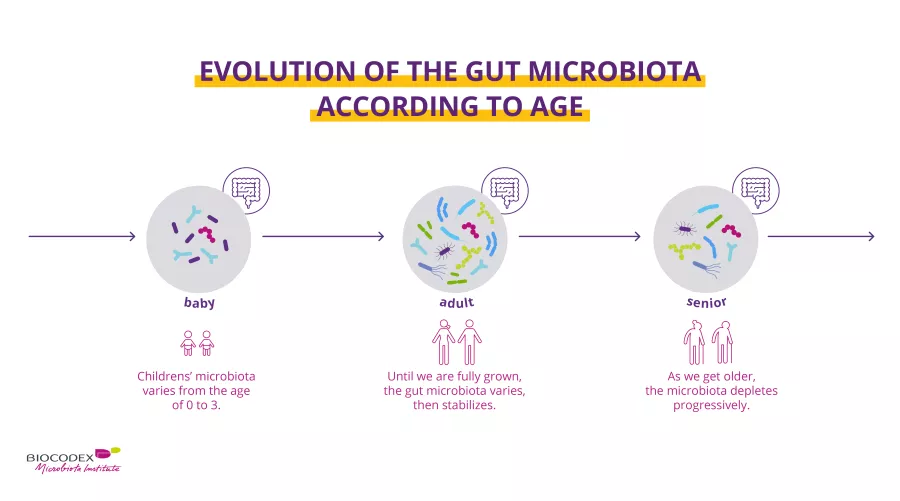 The gut microbiota | Content for the lay public | Microbiota institute